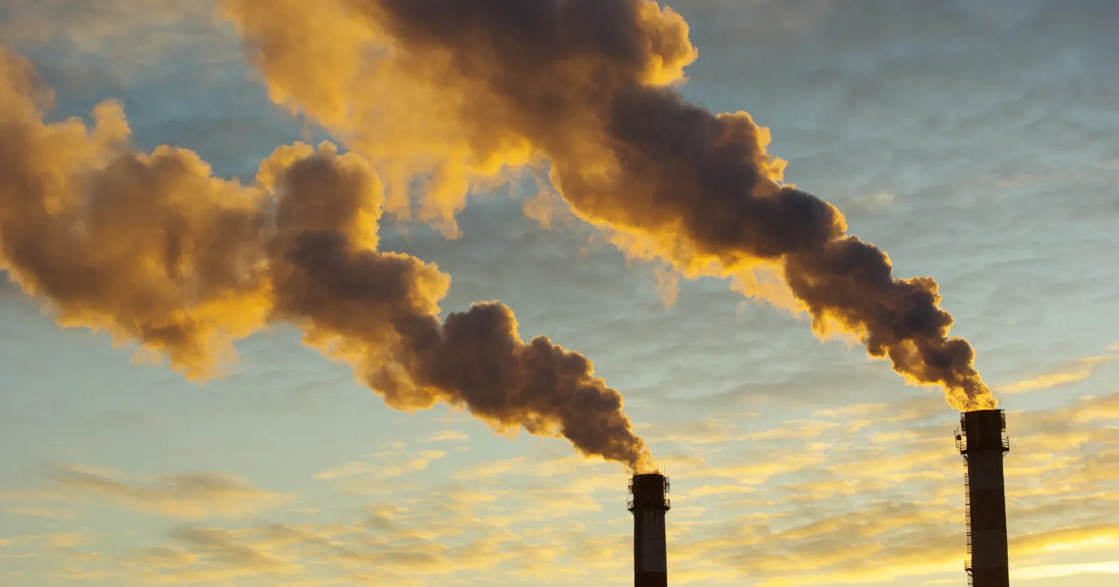 BNP Paribas, la banque la plus polluante de France