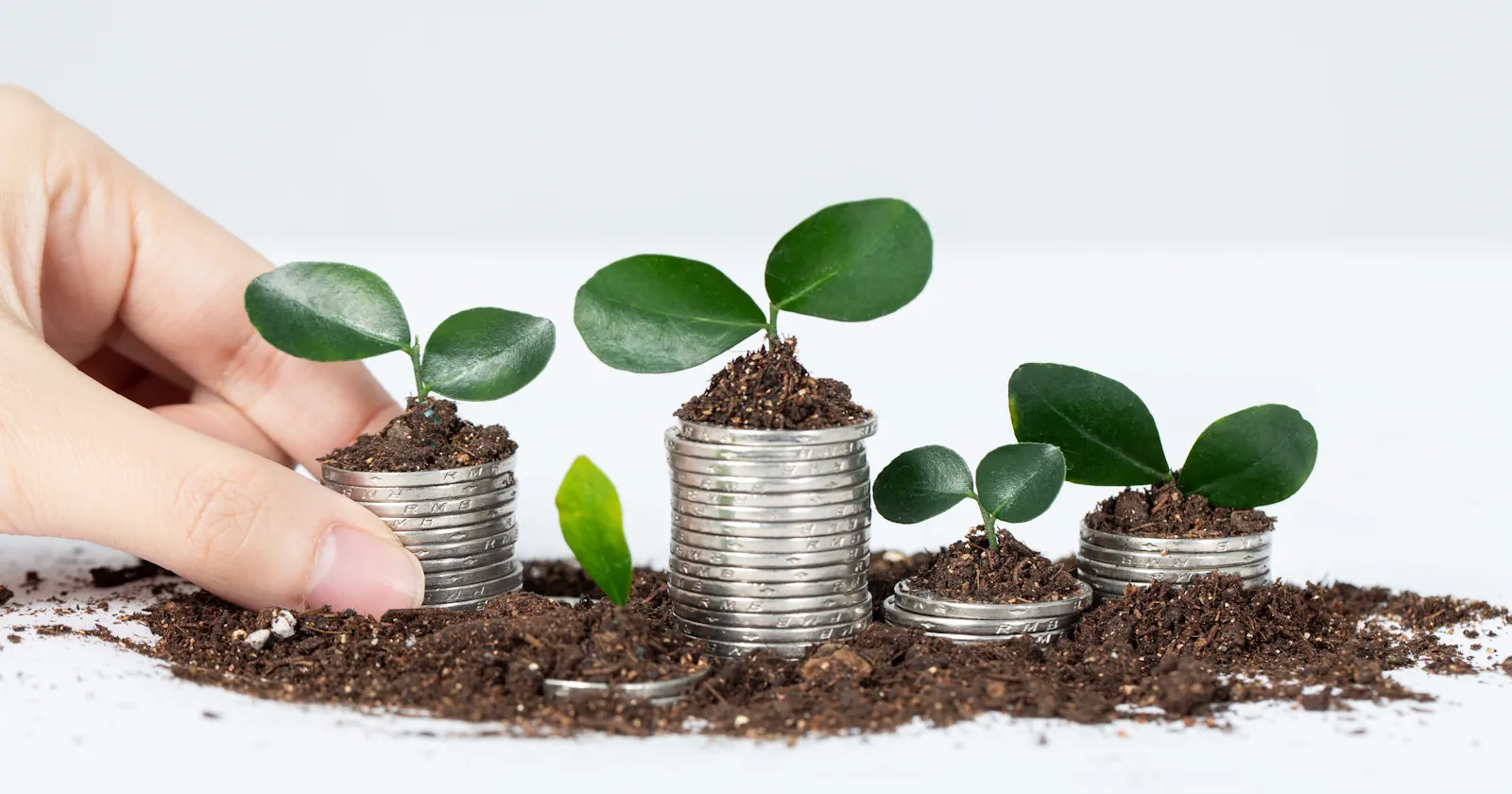 Banque verte - Existe-t-il des banques écologiques